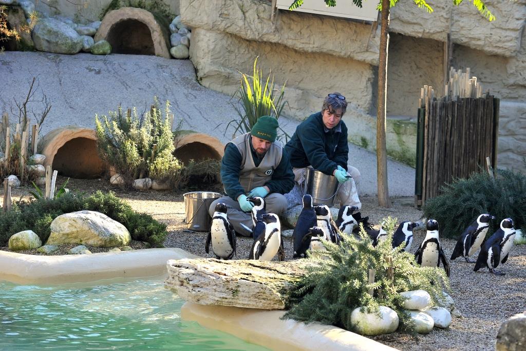 Domenica 8 ottobre al Bioparco evento “Invertiamo il rosso” – Tesori a ...